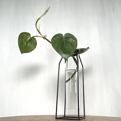 TEST TUBE BLACK PROPAGATION STAND | Heynes