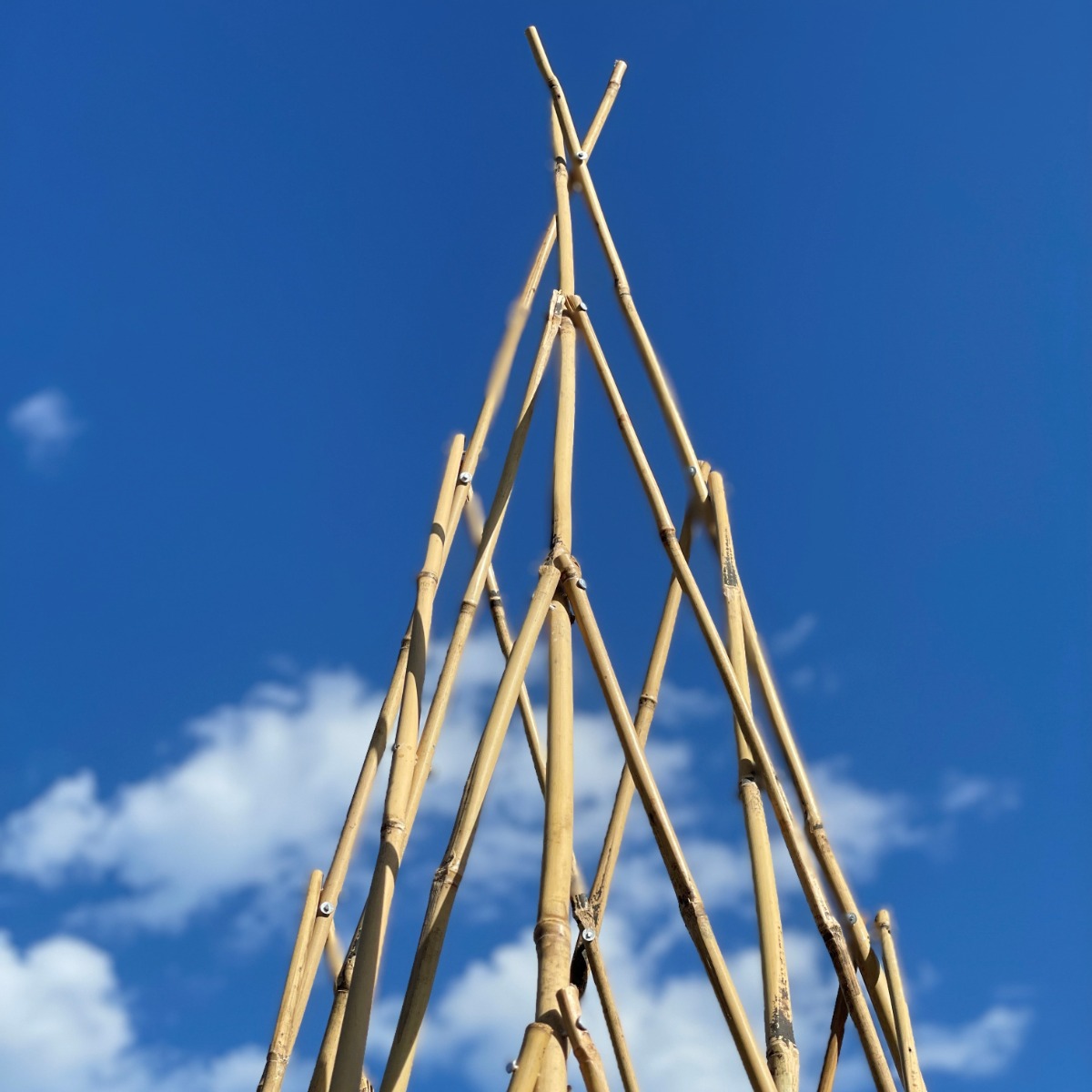 BAMBOO TEEPEE TRELLIS 1.2M | Heynes