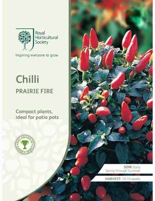 RHS CHILLI PRAIRIE FIRE | Heynes