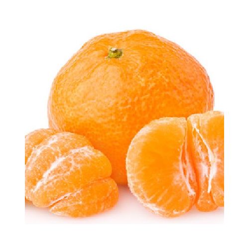 MANDARIN JAPANESE SEEDLESS DWARF