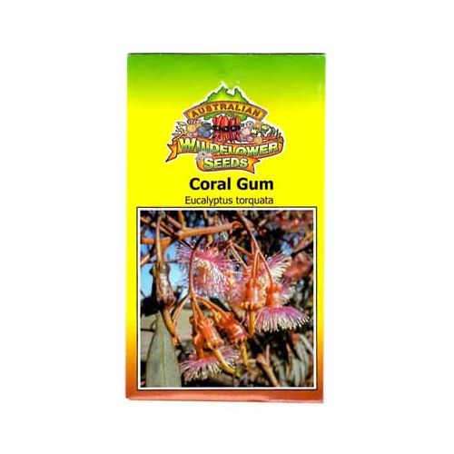 CORAL GUM