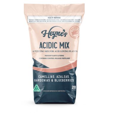 CAMELLIA MINE NO YUKI 150MM | Heynes