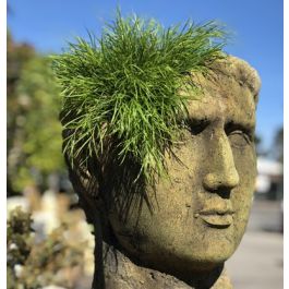 DAVID HEAD PLANTER