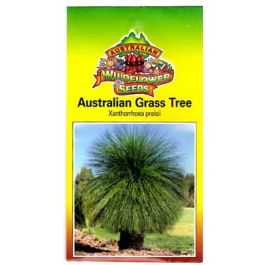 AUSTRALIAN GRASS TREE | Heynes
