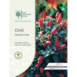 RHS CHILLI PRAIRIE FIRE