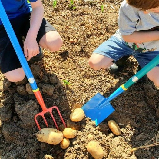 NATIONAL TRUST CHILDREN'S DIGGING SPADE | Heynes