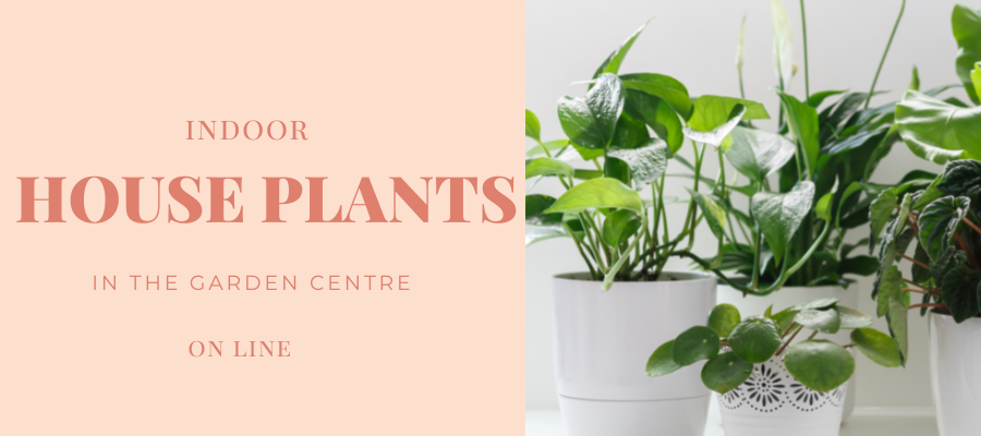 Home page [heyne.com.au]